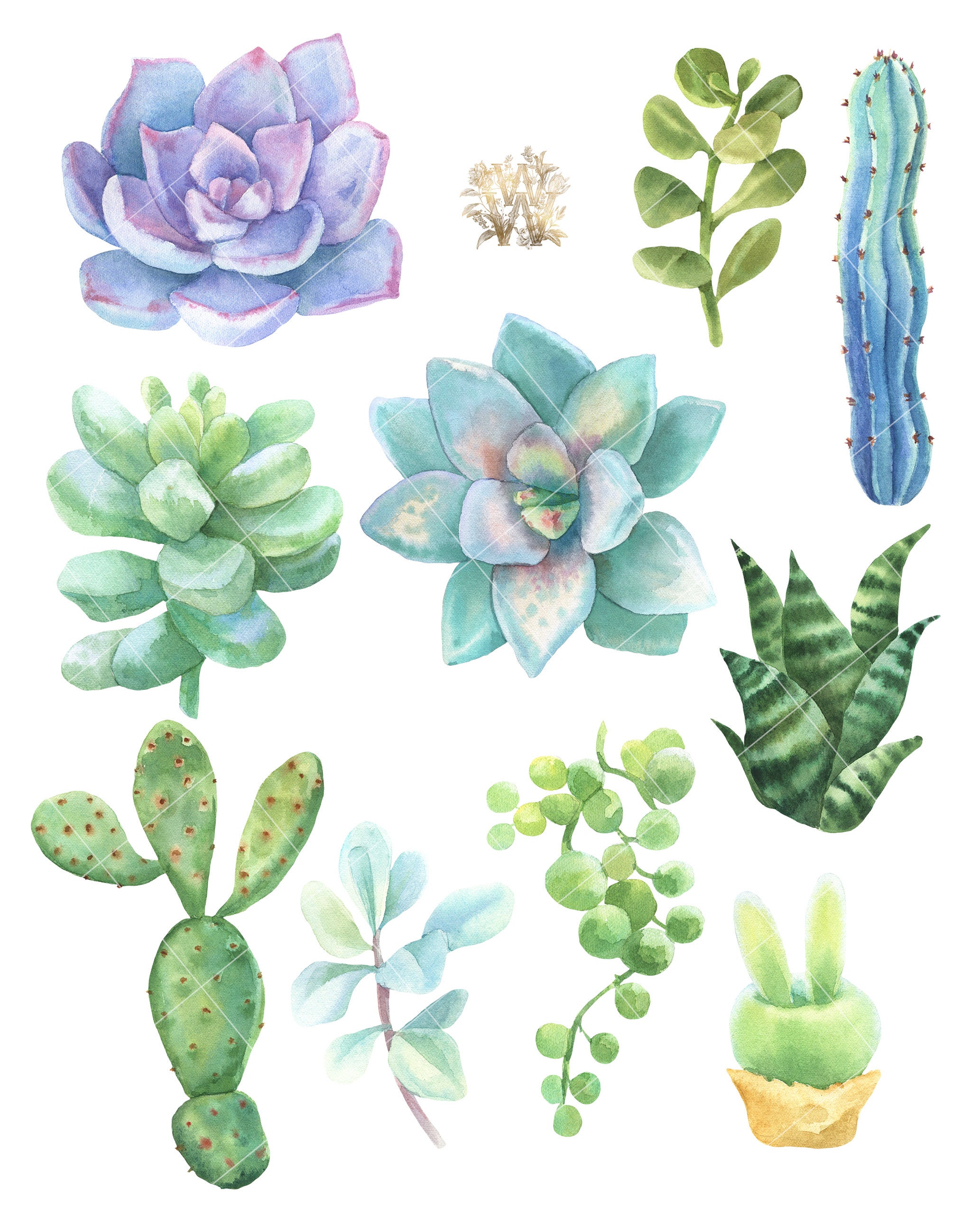 Watercolor Succulent Clipart Cactus Clip Art Home Plants | Etsy