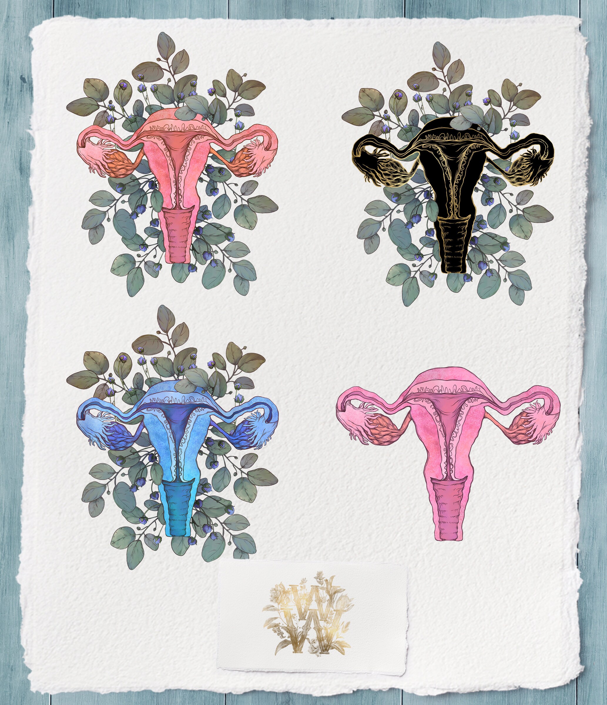 Floral Uterus Clip Art Anatomy Clipart Women Health Png - Etsy