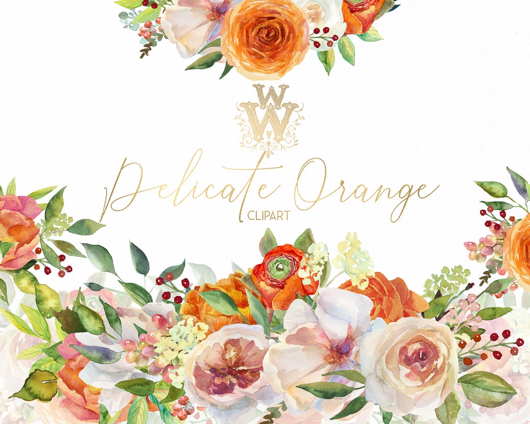 Watercolor Orange Flower Clipart: Peach, Pink, Coral Floral Border (PNG ...