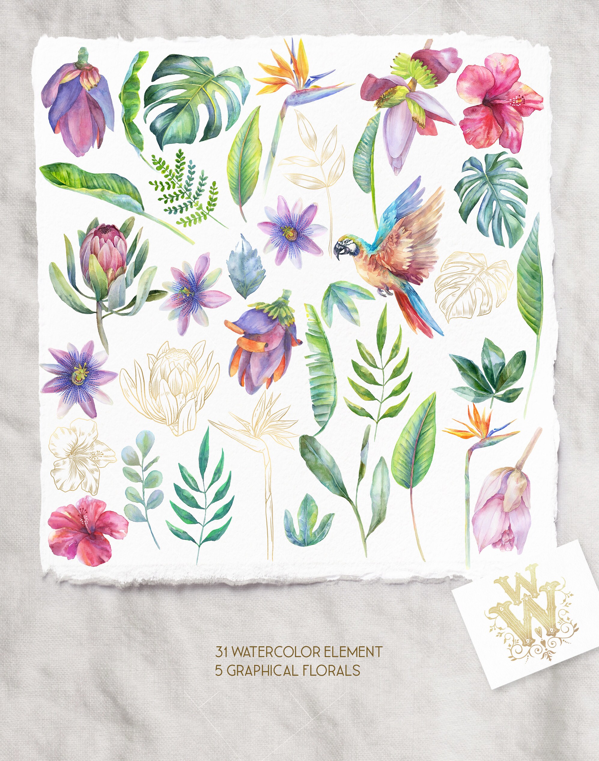 Tropical Flowers Watercolor Clipart Exotic Floral Clip Art - Etsy UK