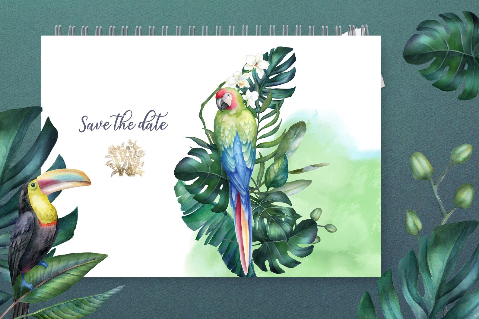 Watercolor Tropical Bird Clipart: Parrot, Toucan, Jungle Leaves (PNG ...