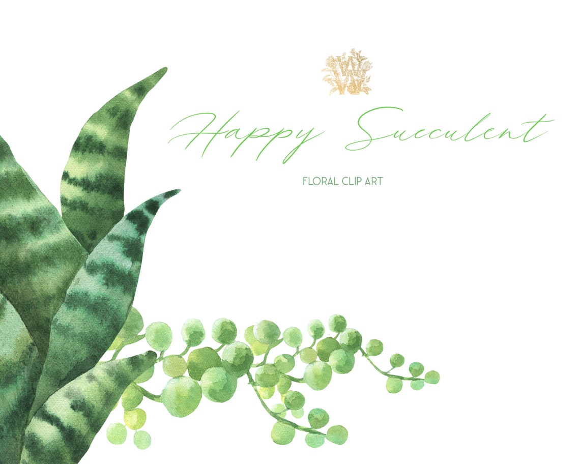 Watercolor Succulent Clipart Cactus Clip Art Home Plants | Etsy