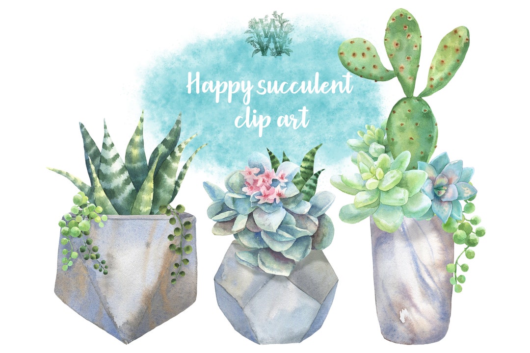 Watercolor Succulent Clipart, Cute Cacti Clip Art , Boho Cactus Png - Etsy