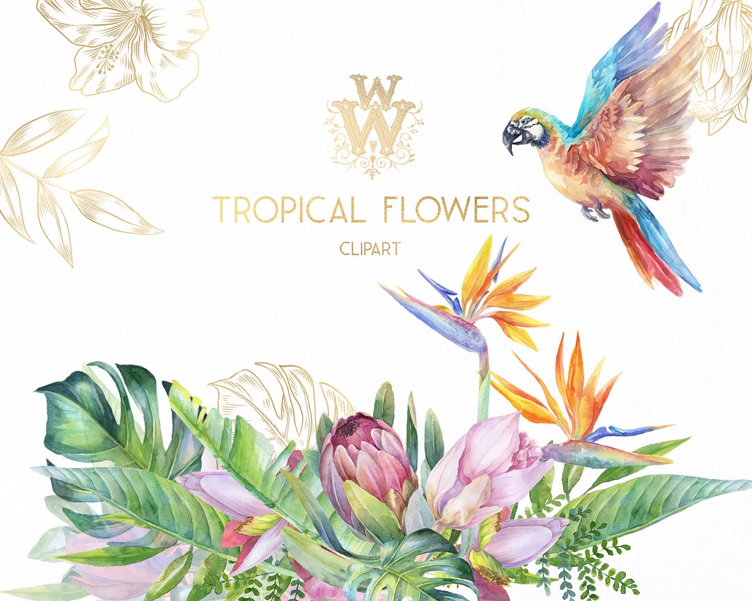 Tropical Flowers Watercolor Clipart, Exotic Floral Clip Art, Summer ...