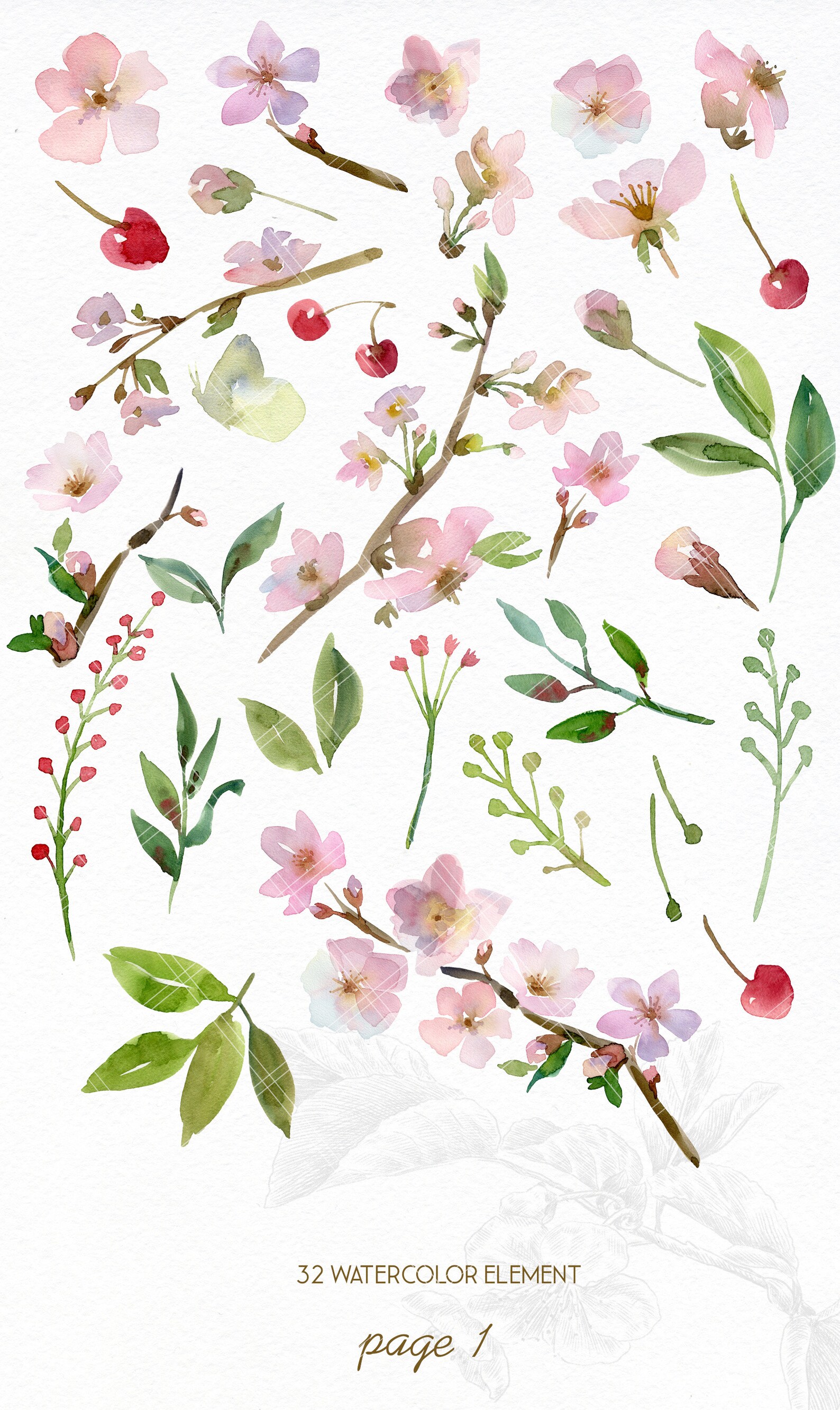 Watercolor Cherry Blossom Flowers Clipart Spring Wedding Clip - Etsy