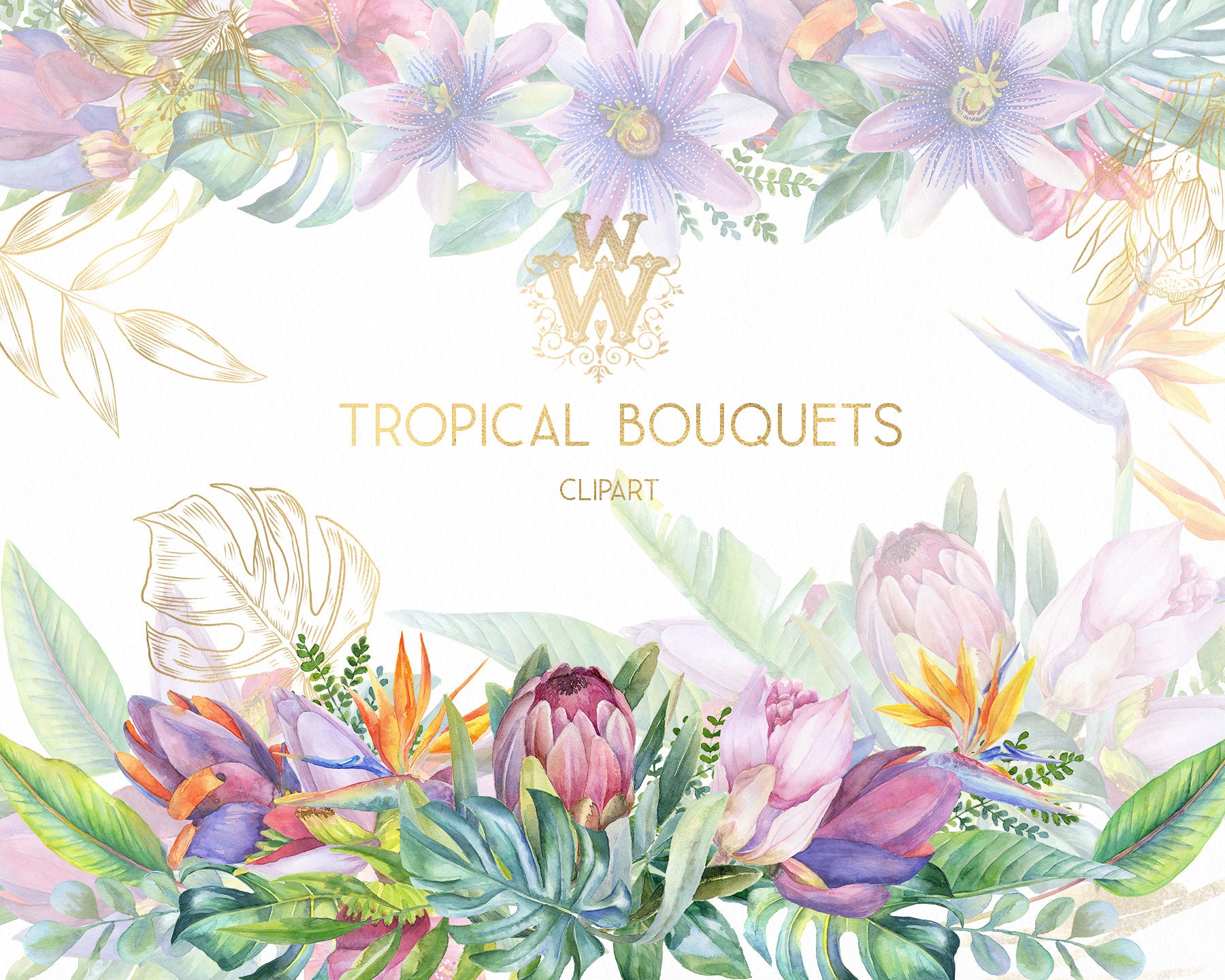 Watercolor Tropical Clip Art Floral Border Clipart Exotic - Etsy
