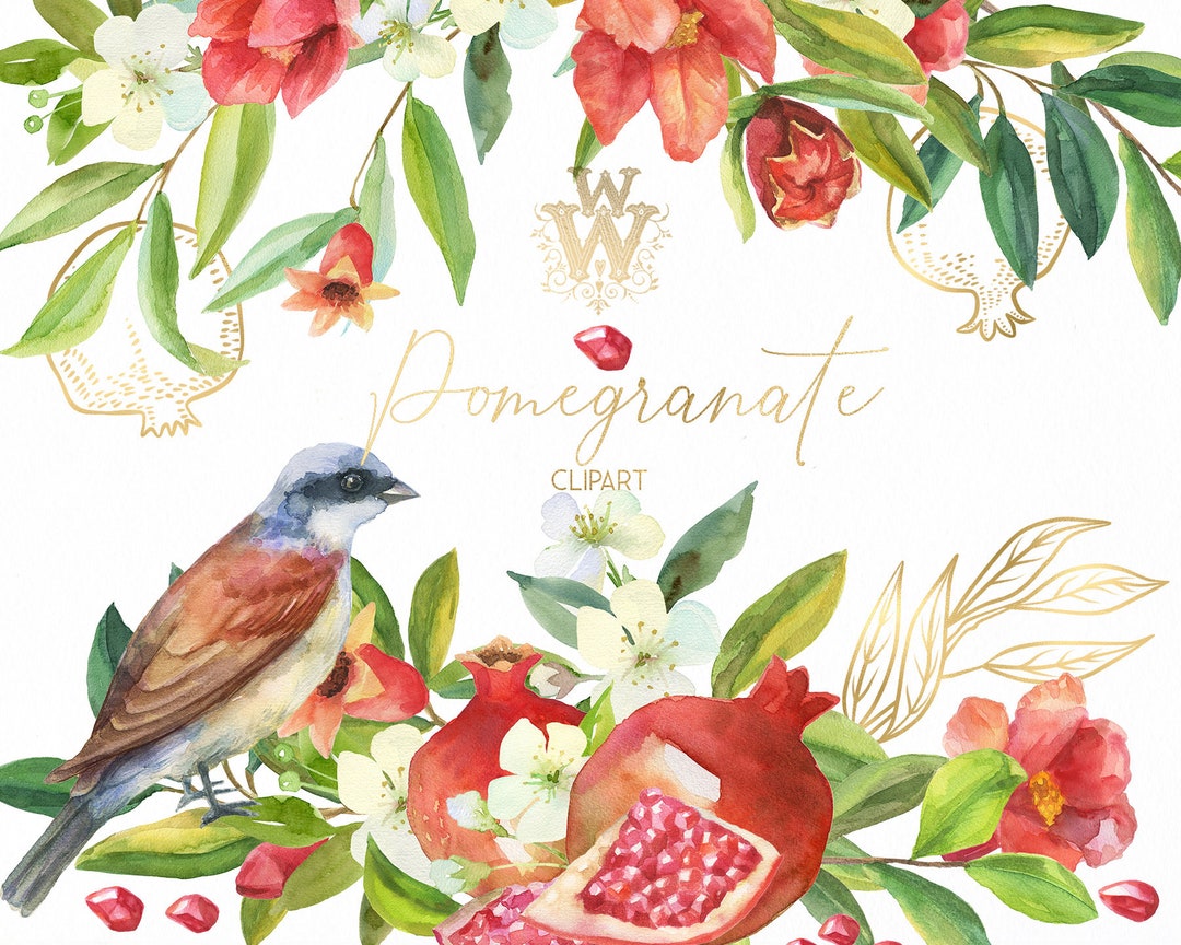 Watercolor Pomegranate Floral Clipart: Red Flowers, Bird, Gold Accents ...