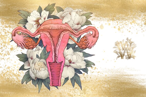 Floral Uterus Clip Art Anatomy Clipart Women Health Png | Etsy