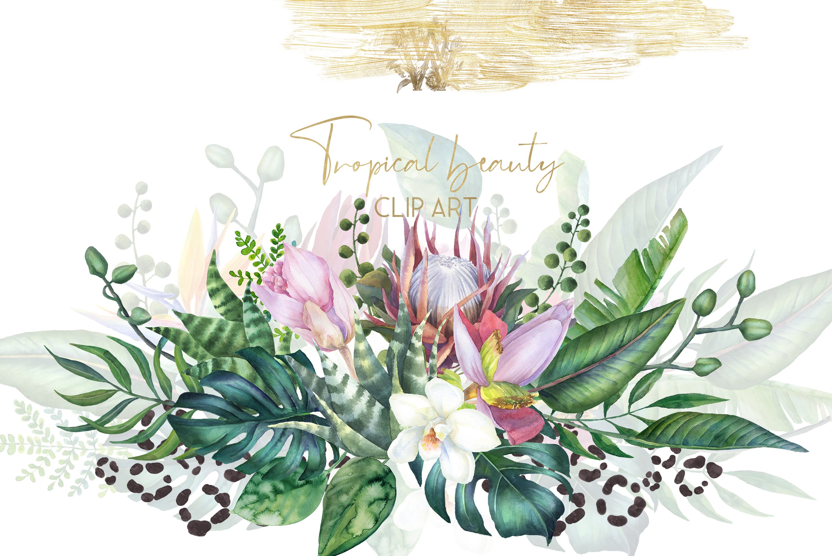 Watercolor Tropical Clip Art Floral Border Clipart Exotic - Etsy