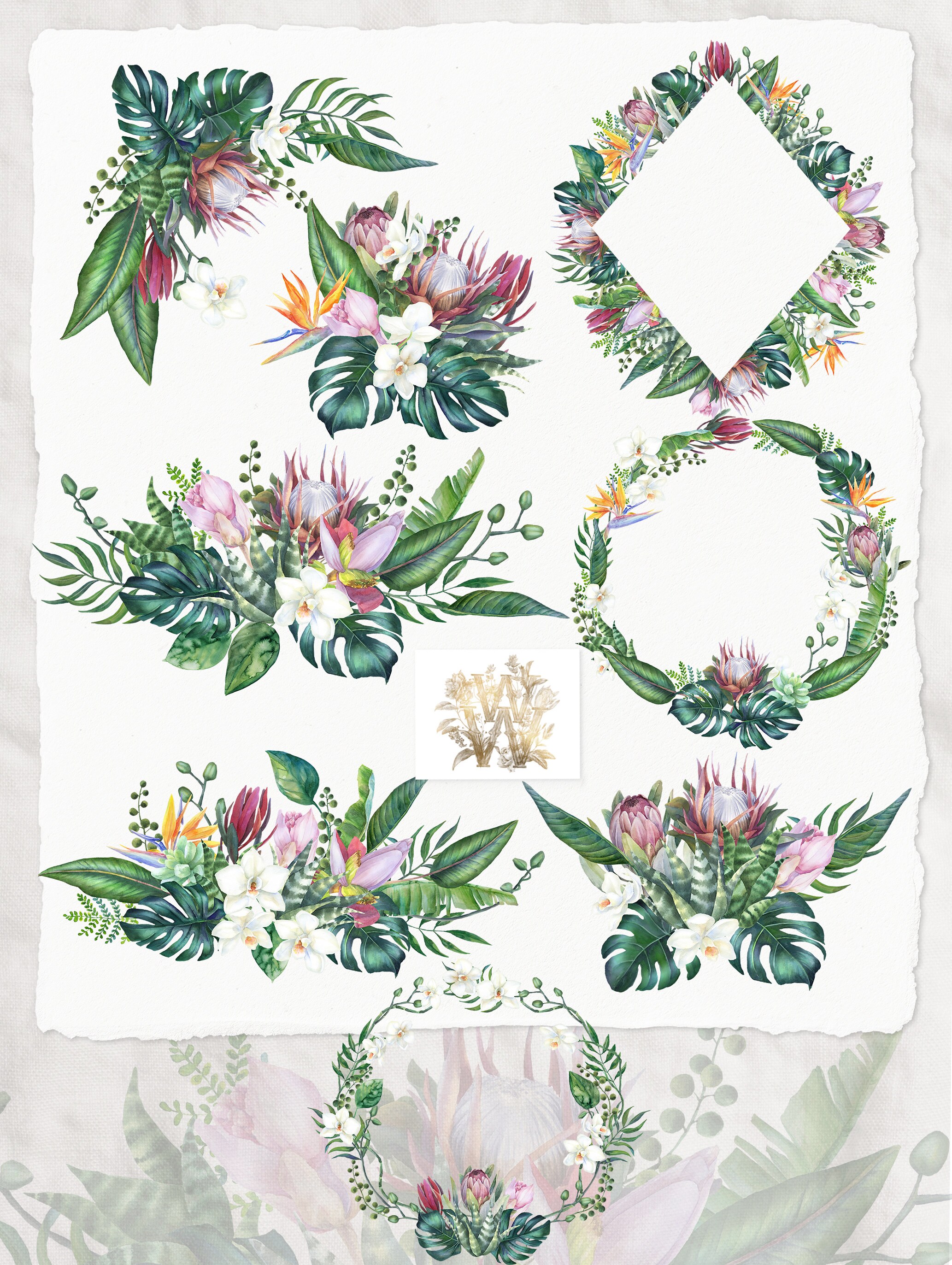 Watercolor Tropical Clip Art Floral Border Clipart Exotic - Etsy