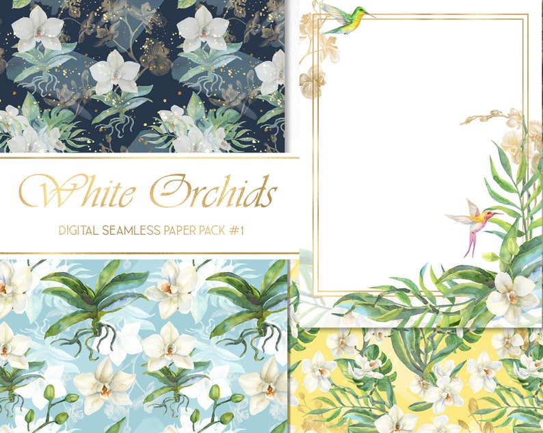 Tropical Flower Digital Paper Pack, Watercolor White Orchid, Wedding ...