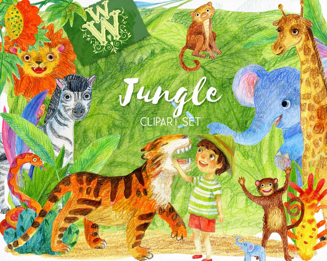 Watercolor Jungle Animal Clipart: Safari Zoo PNG Graphics - Etsy
