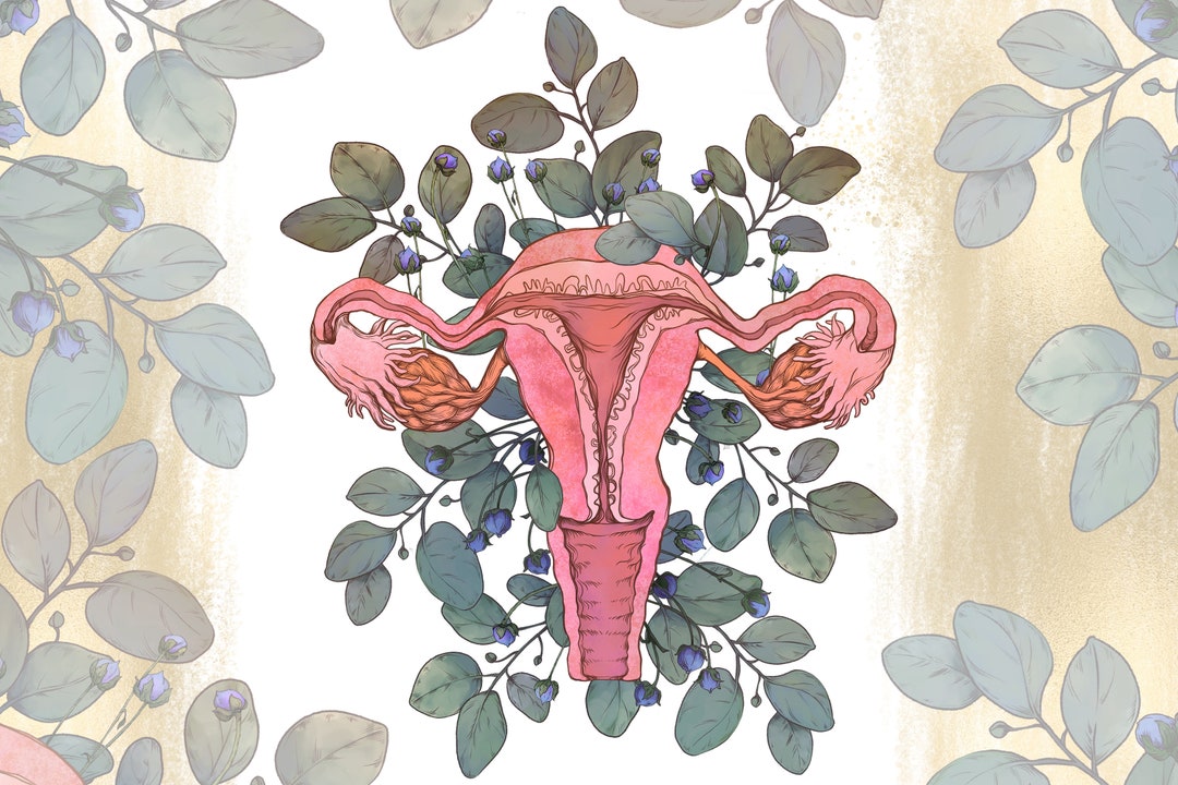 Floral Uterus Clip Art, Anatomy Clipart, Women Health Png, Medicine ...