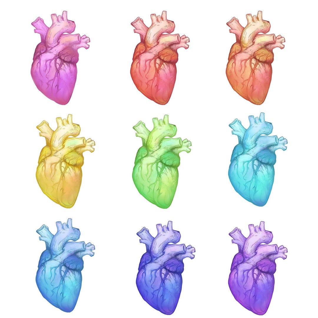 Rainbow Heart Anatomy Clip Art - Medicine and Health Graphics, Human ...