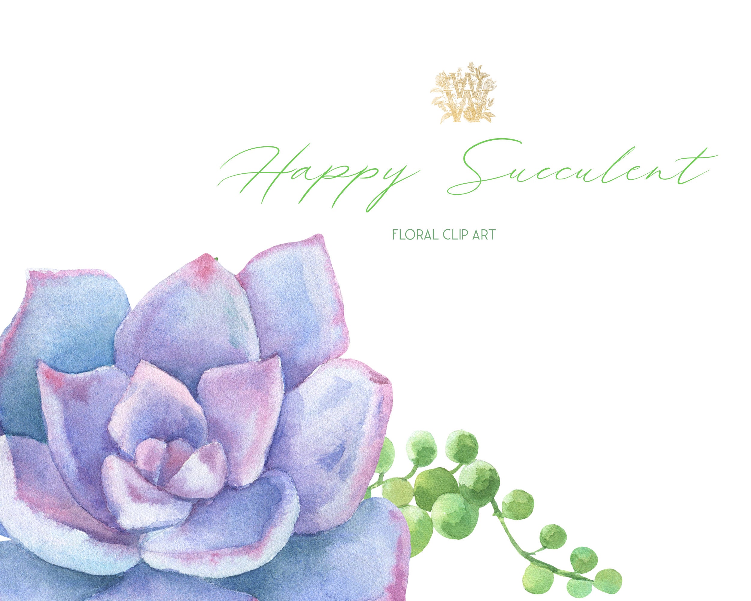 Watercolor Succulent Clipart Cactus Clip Art Home Plants | Etsy