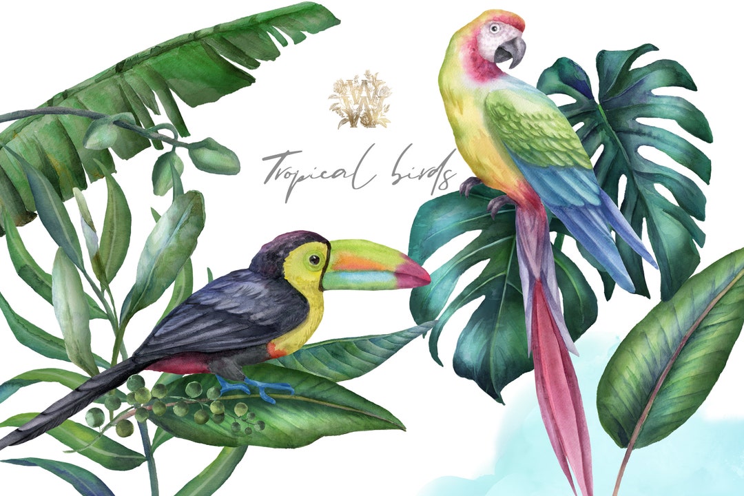Tropical Birds Watercolor Clipart, Parrot Clip Art, Summer Paradise ...