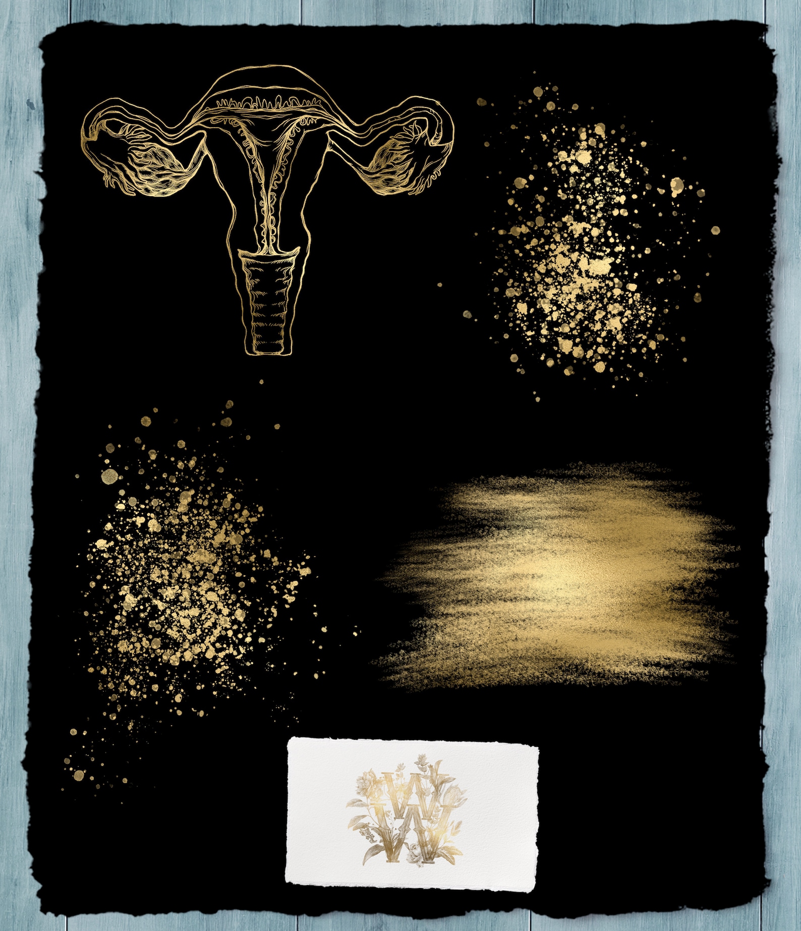 Floral Uterus Clip Art Anatomy Clipart Women Health Png - Etsy