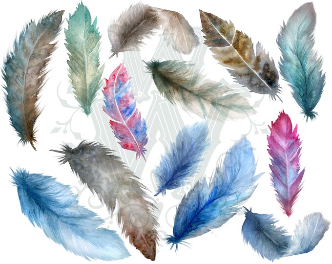Watercolor Feather Clipart Bird Boho Feathers Set Romantic - Etsy