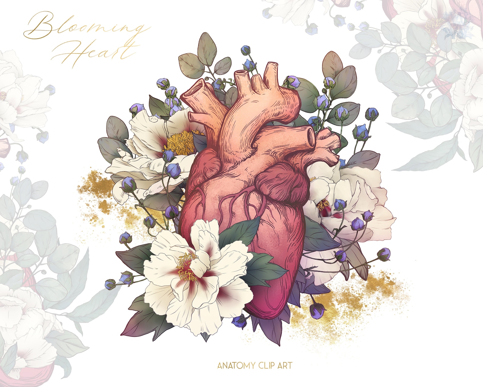Floral Human Heart Clip Art Anatomy Clipart Graphic Health | Etsy