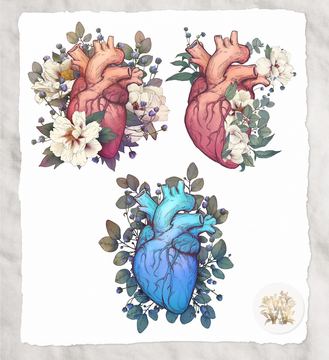Floral Human Heart Clip Art Anatomy Clipart Graphic Health | Etsy