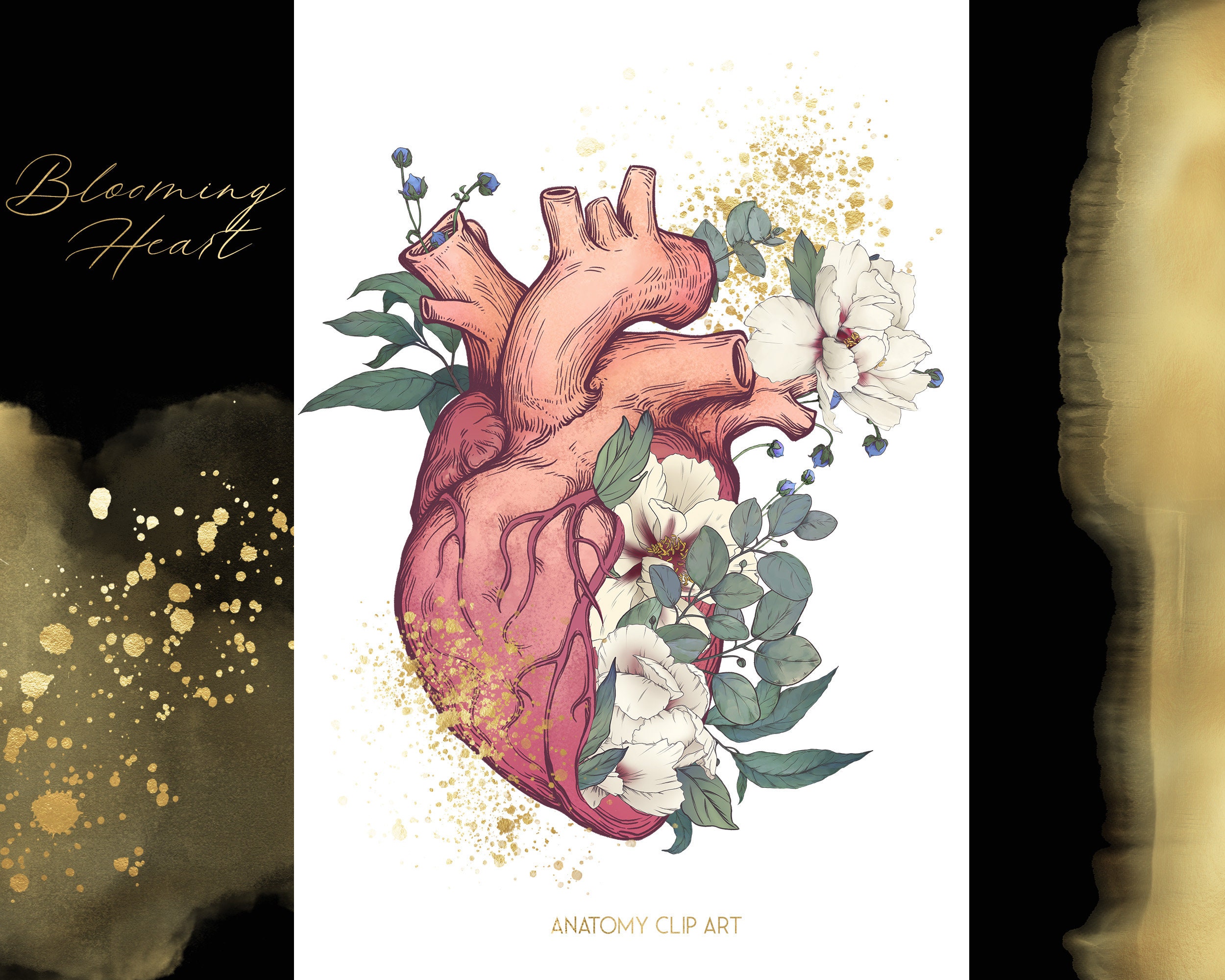 Floral Human Heart Clip Art Anatomy Clipart Graphic Health | Etsy