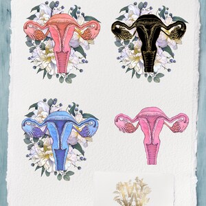 Floral Uterus Clip Art, Anatomy Clipart, Women Health Png, Medicine ...