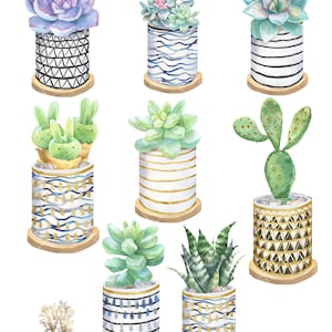 Watercolor Succulent Clipart, Cactus Clip Art , Home Plants Png, Boho ...