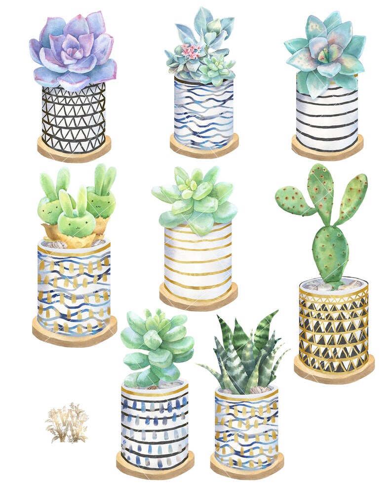 Watercolor Succulent Clipart Cactus Clip Art Home Plants - Etsy