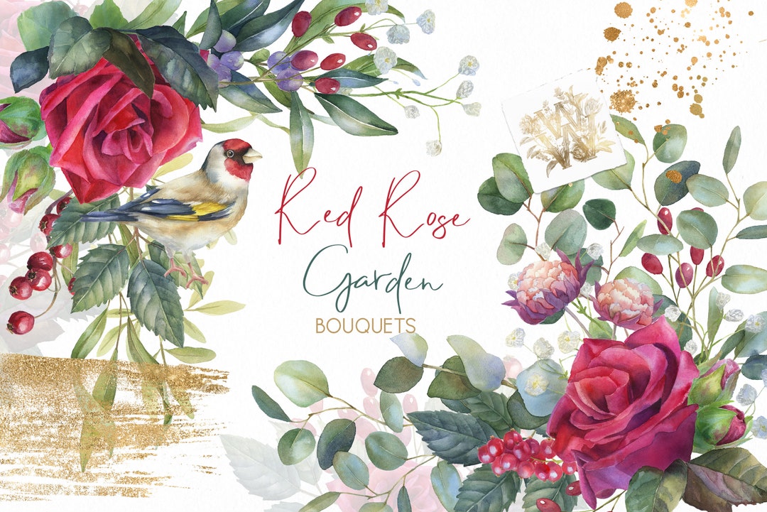 Watercolor Red Rose Clipart: Burgundy Floral Border, Gold Frame (PNG ...