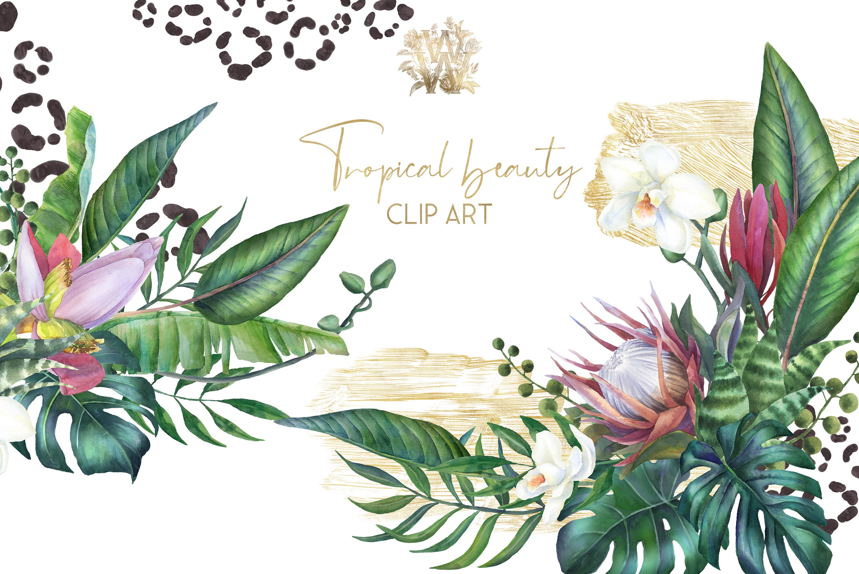 Watercolor Tropical Clip Art Floral Border Clipart Exotic - Etsy