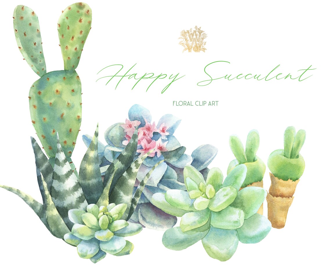 Watercolor Succulent Clipart Boho Clip Art Cute Cactus Png - Etsy