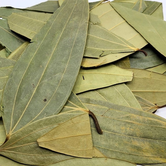 Organic Bay Leaf Freshly Dried Bay Leaves - Etsy