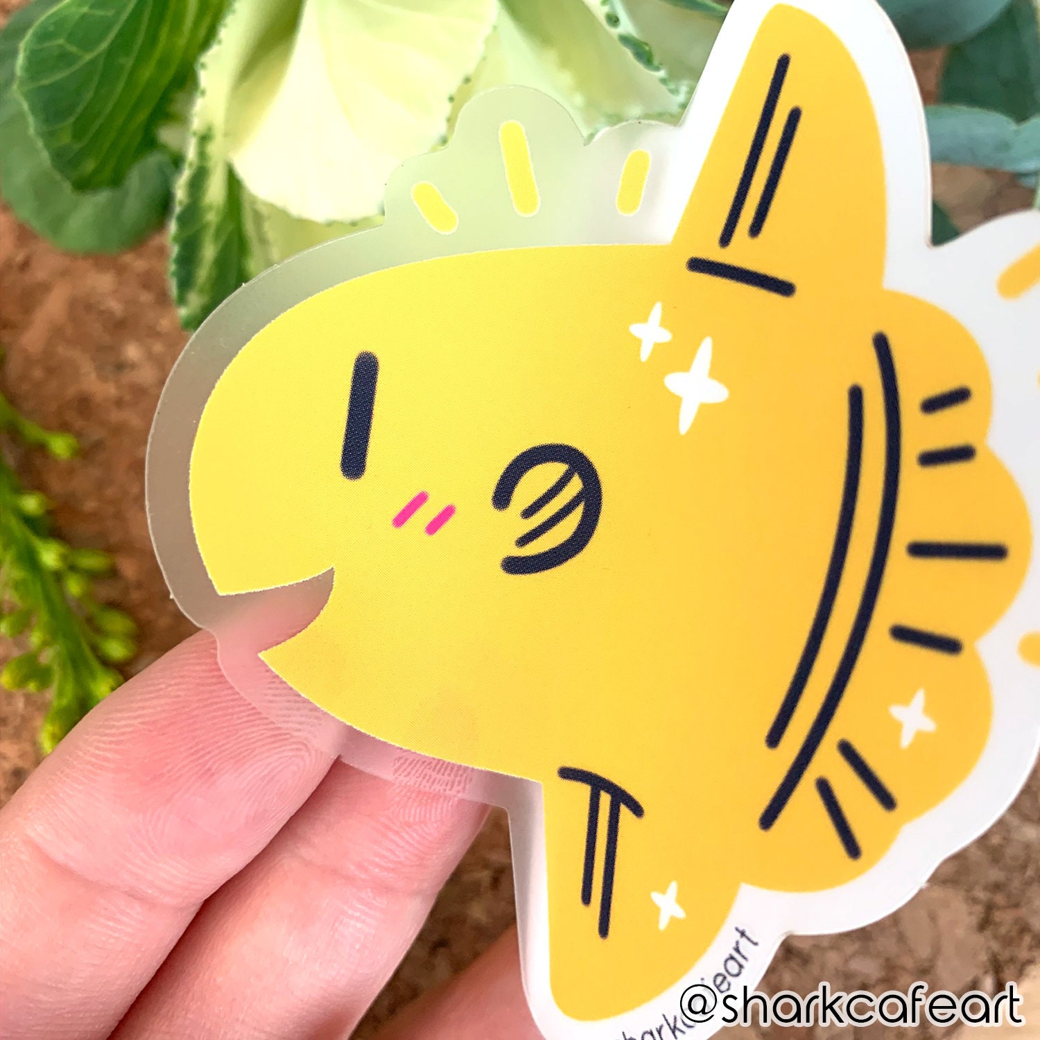 Mola Mola Sunfish Pancake CLEAR Sticker | Cute Ocean Animal Sticker - Etsy