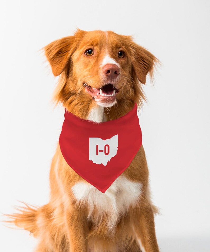 Matching Dog and Owner Clothes Ohio State Dog Bandana and Ohio - Etsy