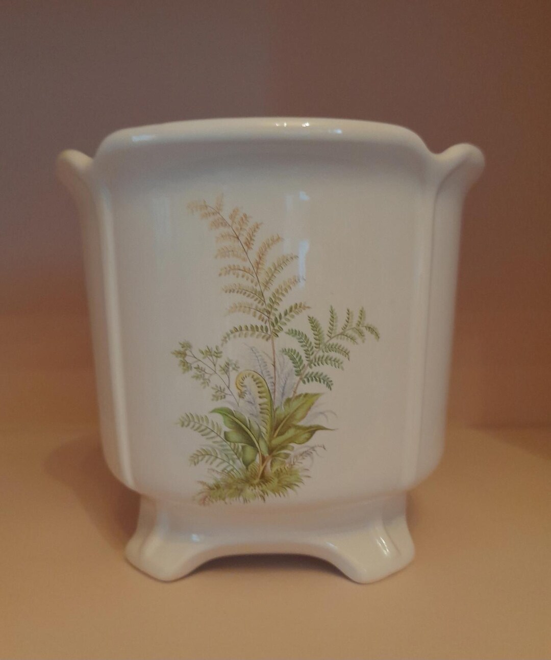 A Small Wade Fern Leaf Design Footed Planter - Etsy