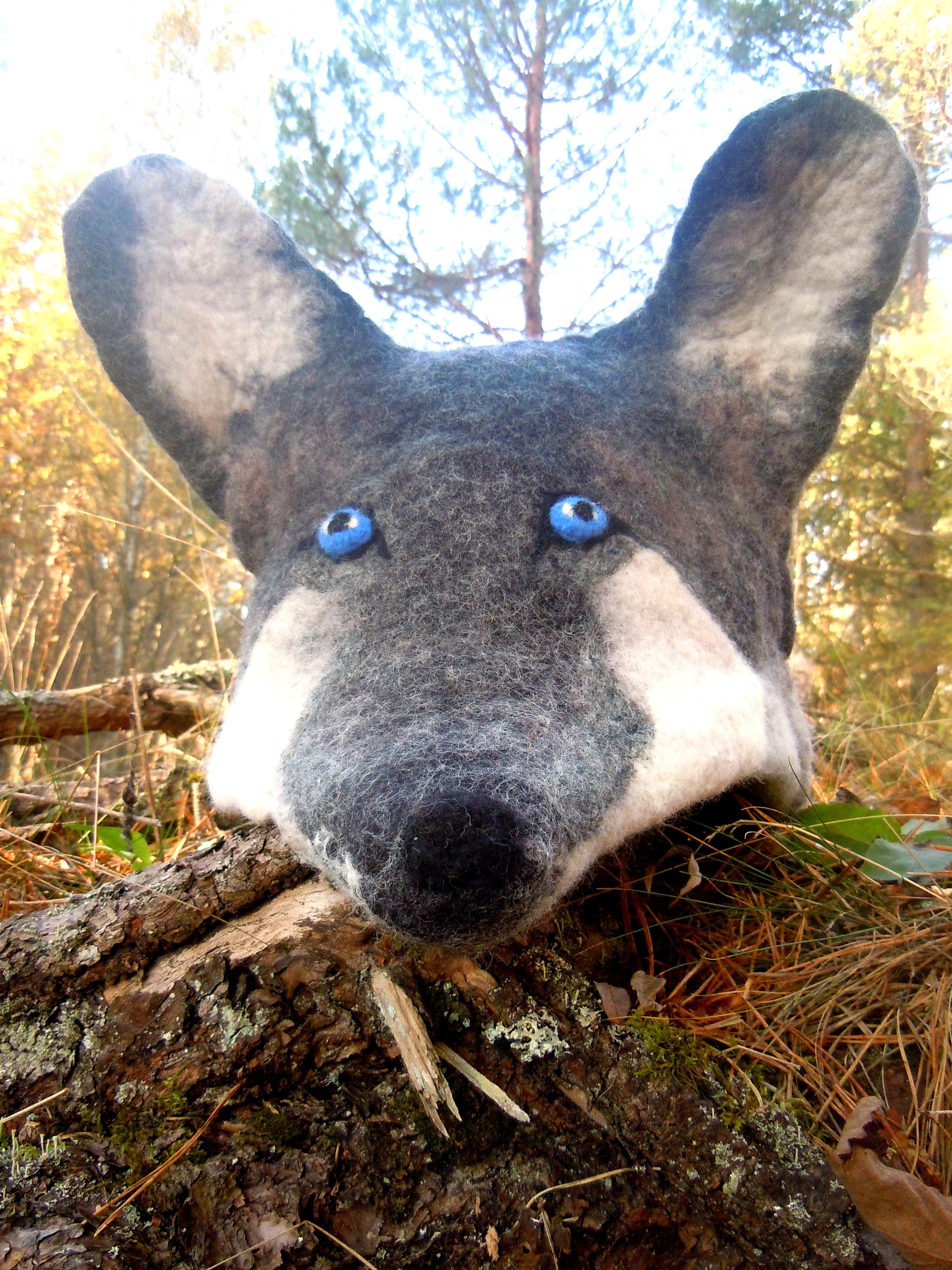 WOLF HAT Felt Wolf Hat Wolf Head Wolf Costume Hat Wolf Mask | Etsy