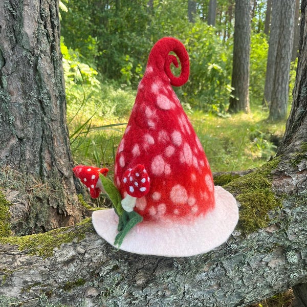 Mushroom Wizard Costume - Etsy