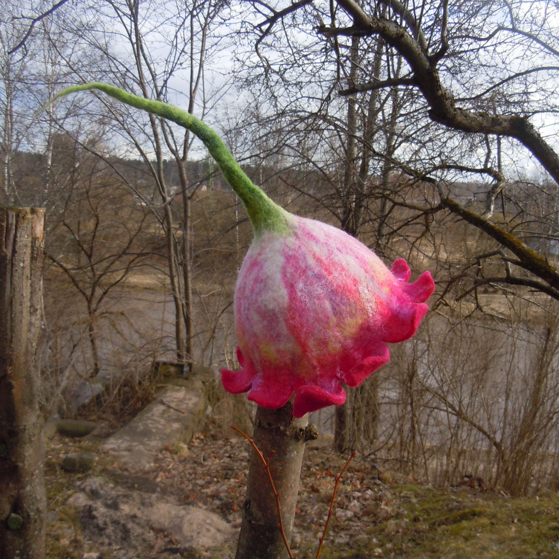 Beautiful Pink Bellflower Hat Pixie Hat Girls Hat Newborn Hat Floral ...