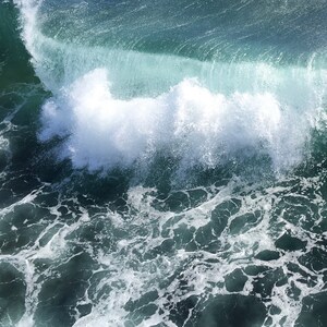 Sea Song Shell . Calligraphy . Cornwall Oysters . Handwritten . Sea ...