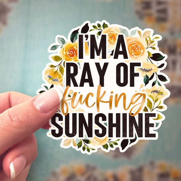 Adult Stickers - Etsy