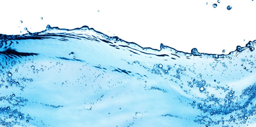 Special Fertilizer for Phytoplankton, Nutrient Medium for Algae ...