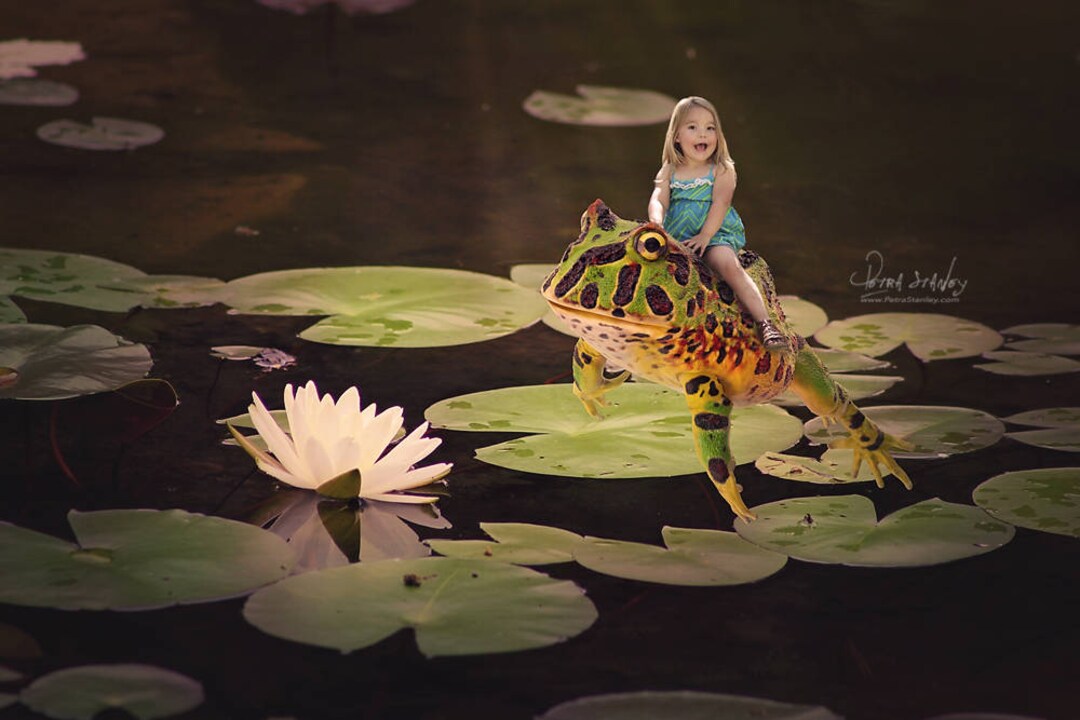 Digital Photography Backdrop, Frog Prince, Thumbelina, Nature Digital ...