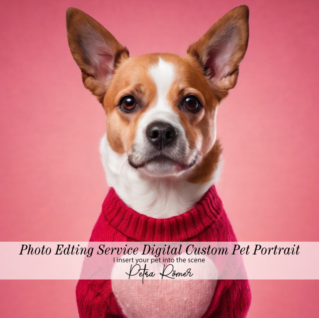Digital Delivery, Valentine's Day Custom Pet Portrait From Your Photo ...