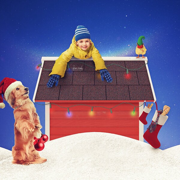 Charlie Brown House Decor - Etsy