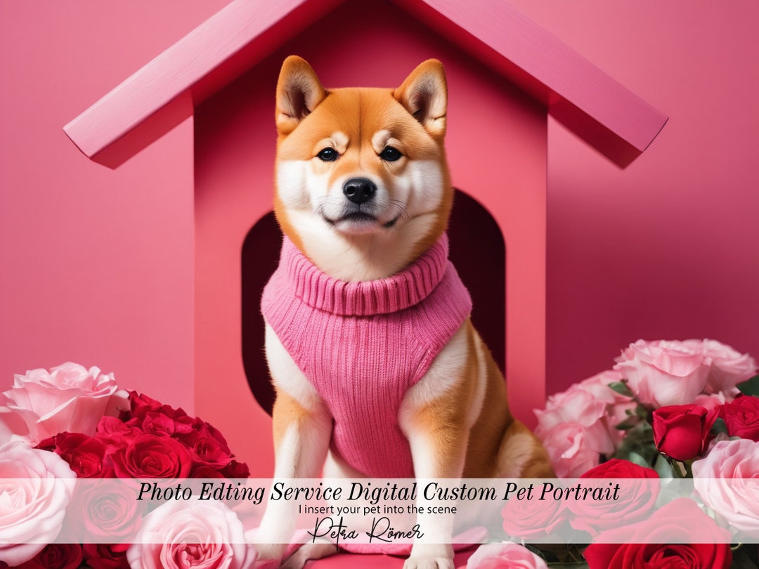 Digital Delivery, Valentine's Day Shiba Inu Custom Dog Portrait From ...