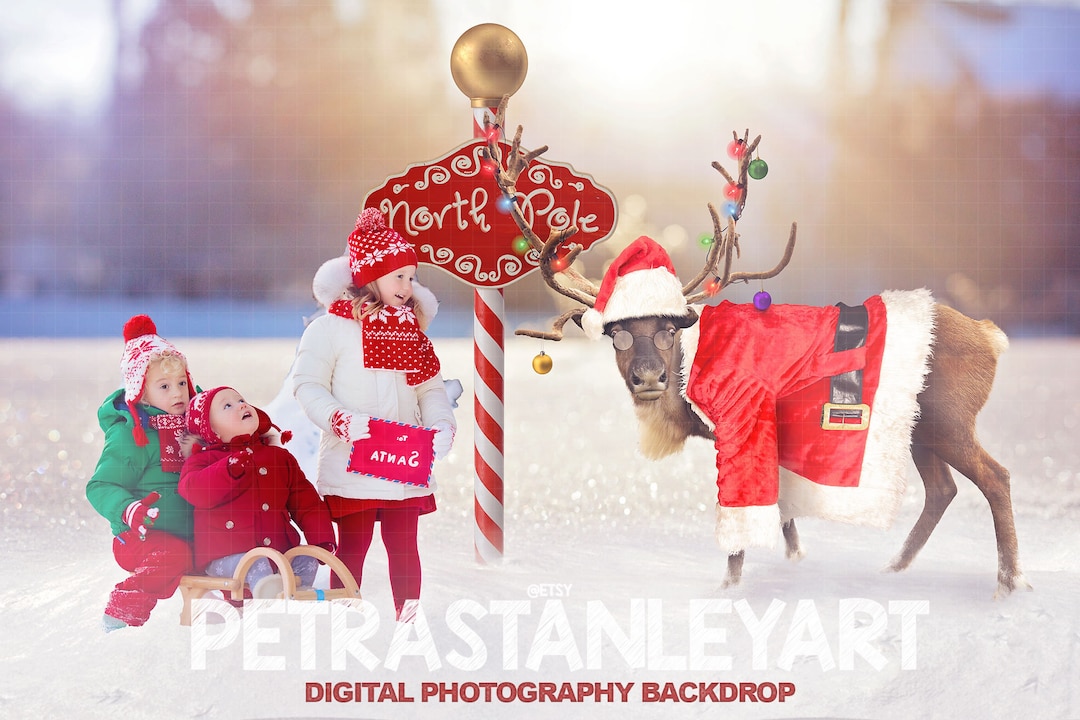 Christmas Reindeer at the North Pole Digital Backdrop, Feeding Reindeer ...