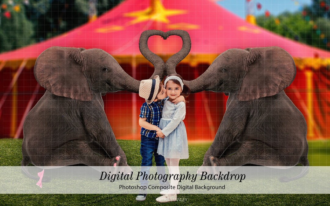 Circus Elephants Digital Photo Valentine Card Template, Love Digital ...