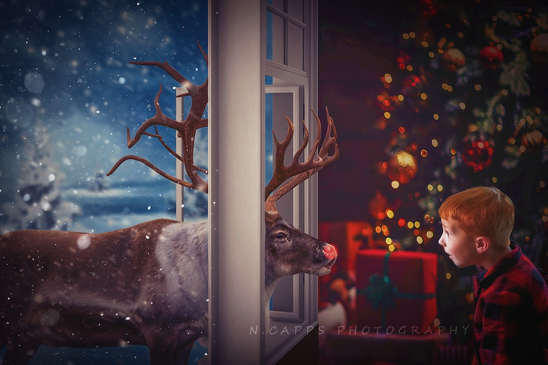 2 Reindeer Rudolf in a Christmas Window Digital Backgrounds Backdrops ...