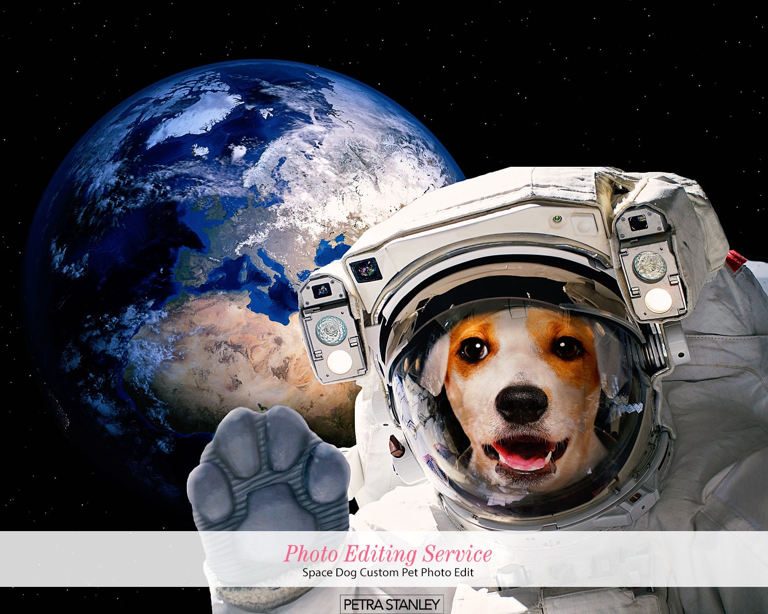Dog Astronaut