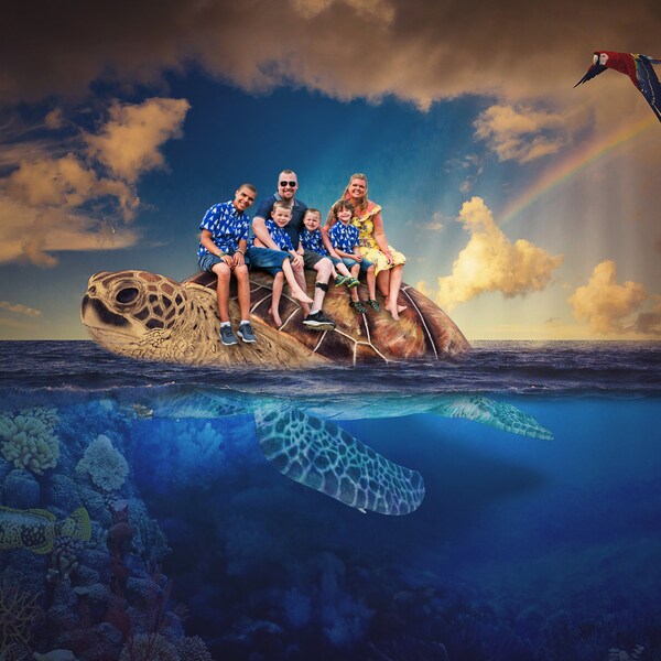 Turtle Sea Backdrop - Etsy